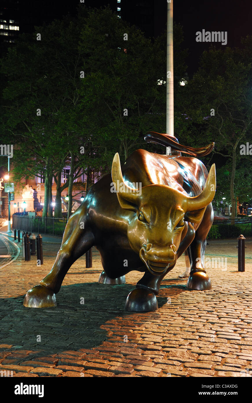 Wall Street Charging Bull at night in downtown Manhattan, New York City Stock Photo - Alamy