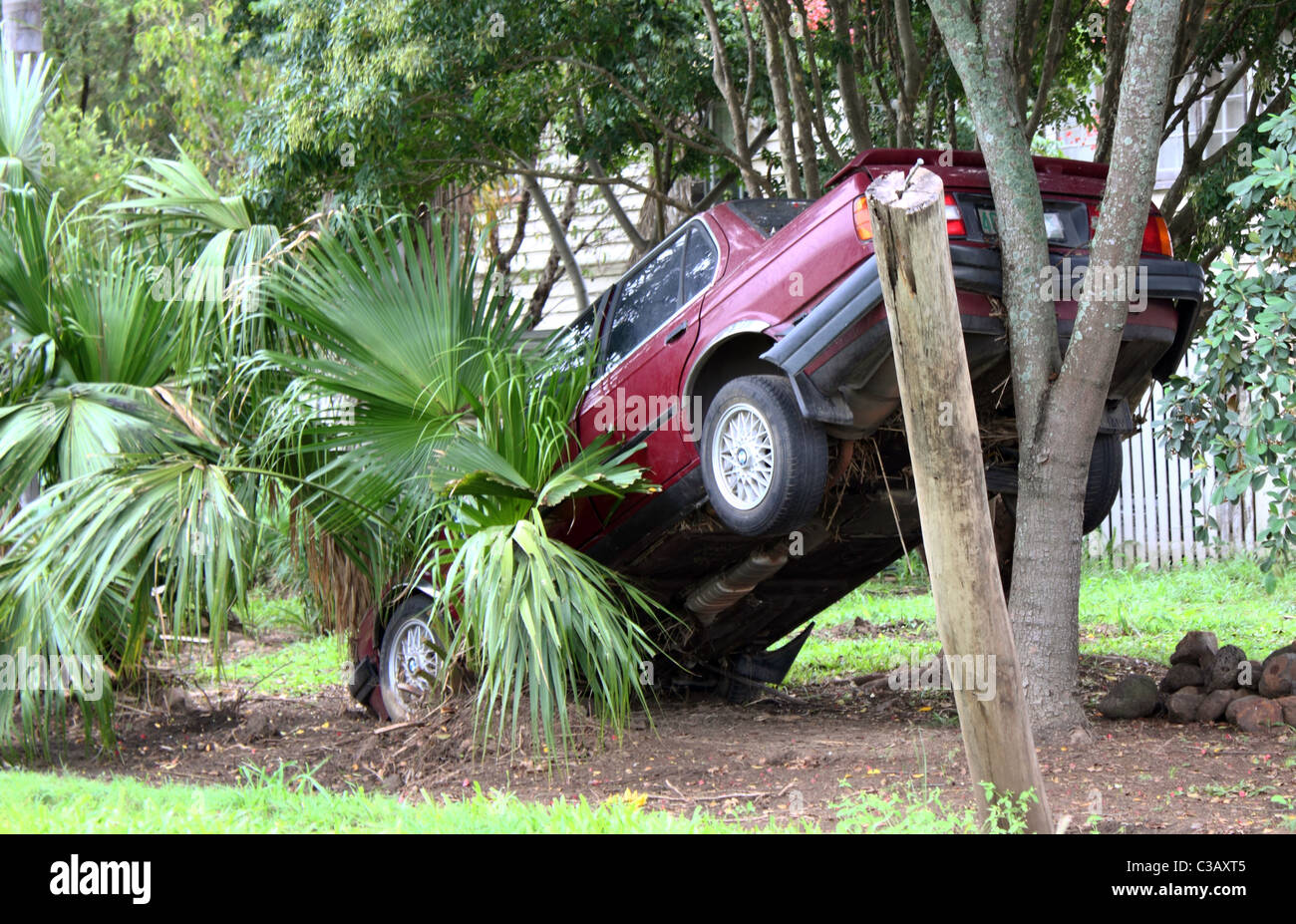 CAR STUCK IN A TREE AFTER FLOOD BDB HORIZONTAL Stock Photo - Alamy