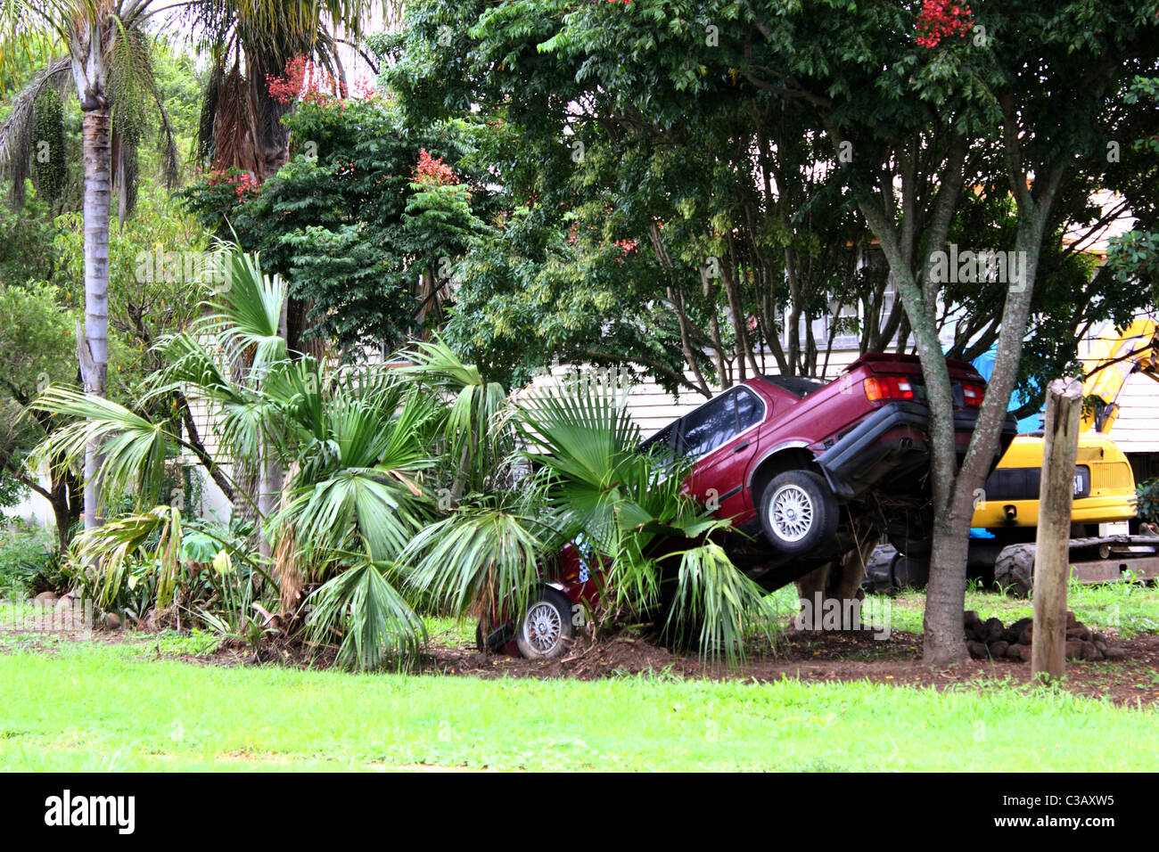 CAR STUCK IN A TREE AFTER FLOOD BDB HORIZONTAL Stock Photo - Alamy