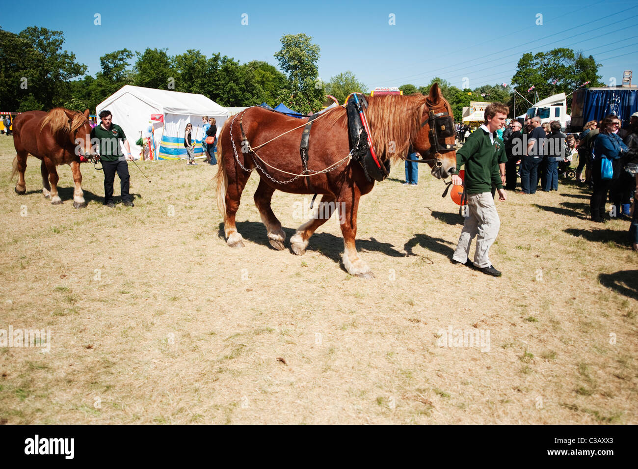 Suffolk Punch shire horses at the Morden Hall Craft and Country Show in ...
