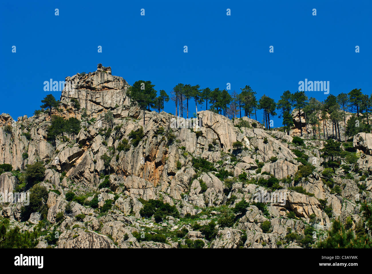 Vallée de la restonica corsica hi-res stock photography and images - Alamy