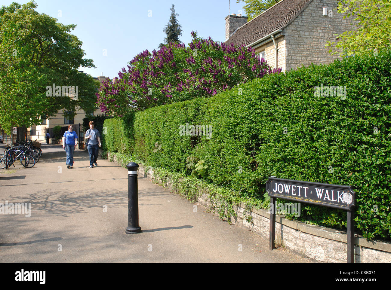 Jowett Walk in spring, Oxford, UK Stock Photo - Alamy