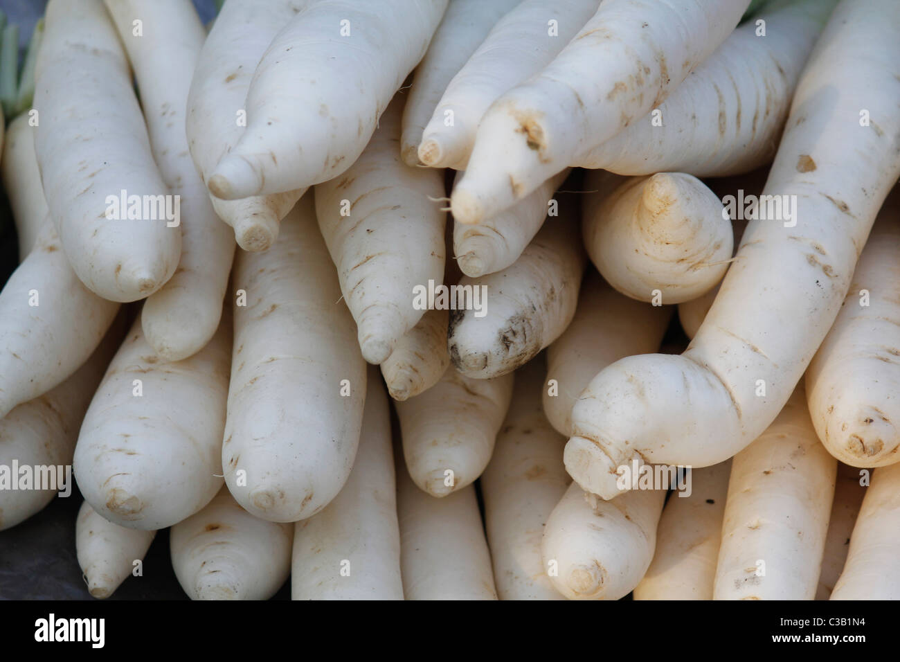 Full frame view of White Raddish in a market stall, Miao, Arunachal ...