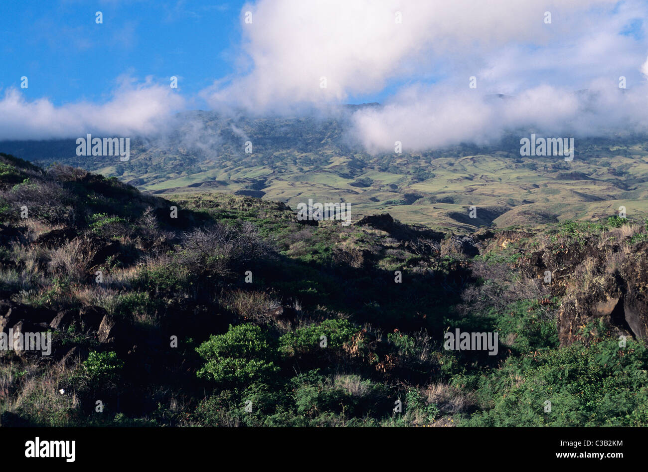 Hawaii, Maui, The Valley Island, upcountry view from road to Kaupo, Ulu ...
