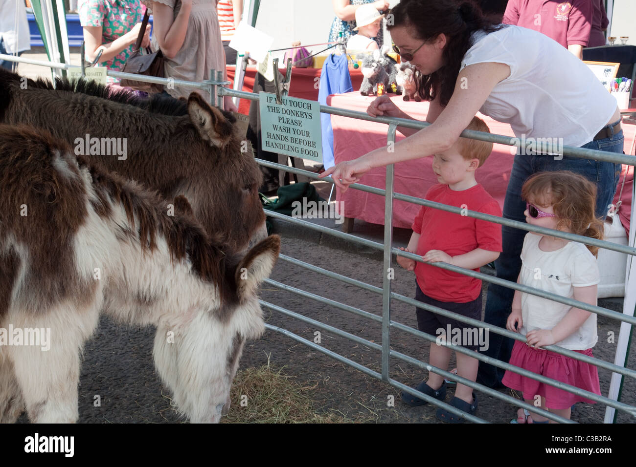 Children patting donkeys at Wallingford town fair, Wallingford ...