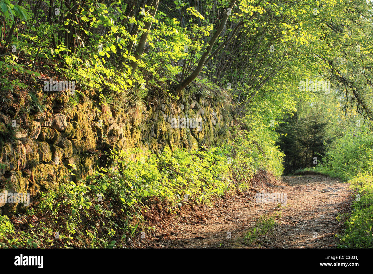 Wall trail hi-res stock photography and images - Alamy