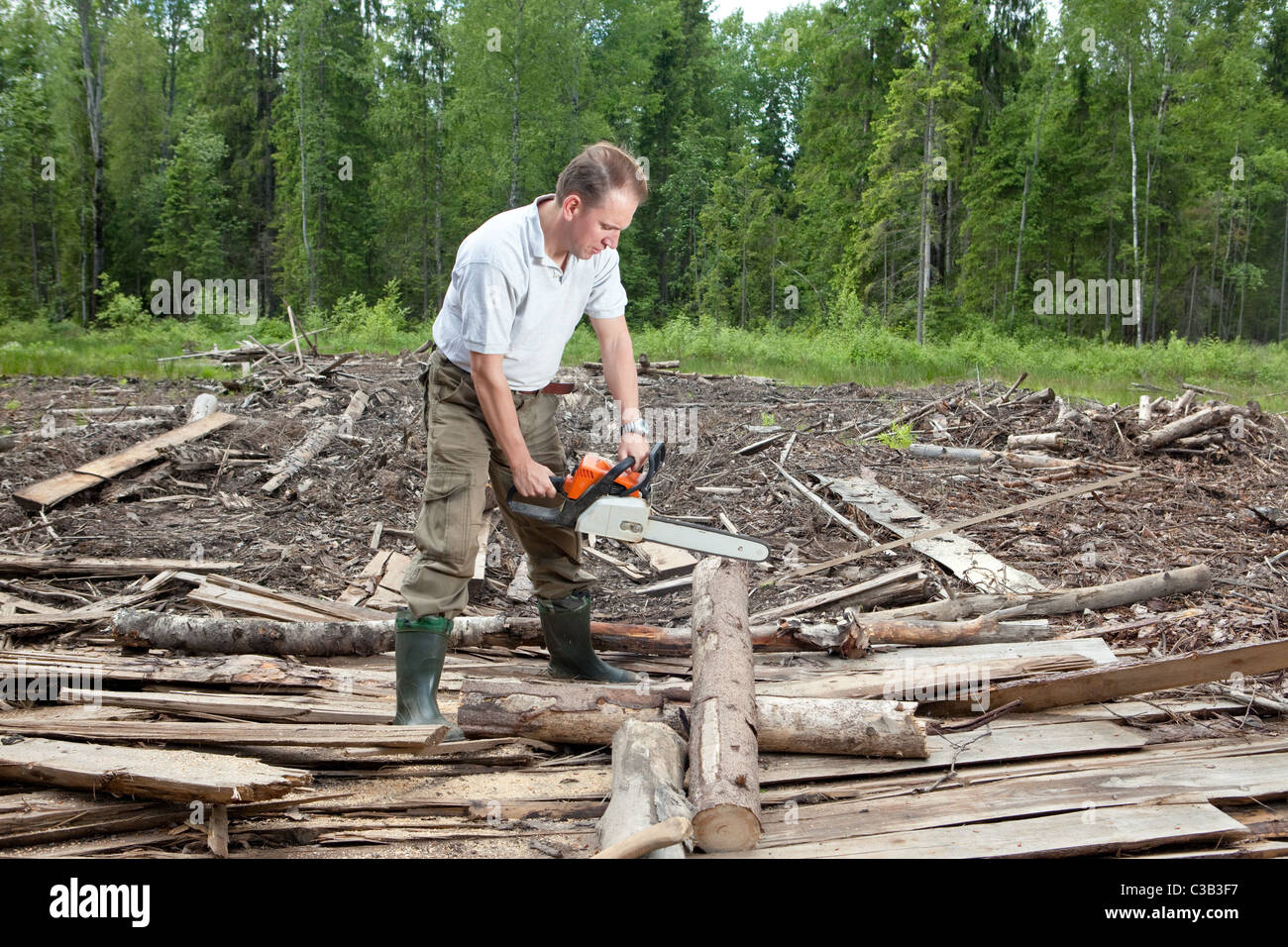 The man in wood saws a tree a chain saw Stock Photo - Alamy