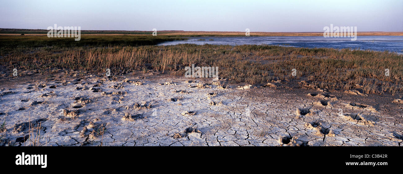 Mongolia, Omnogobi province, surroundings of Mandal Ovoo, dried marshes ...