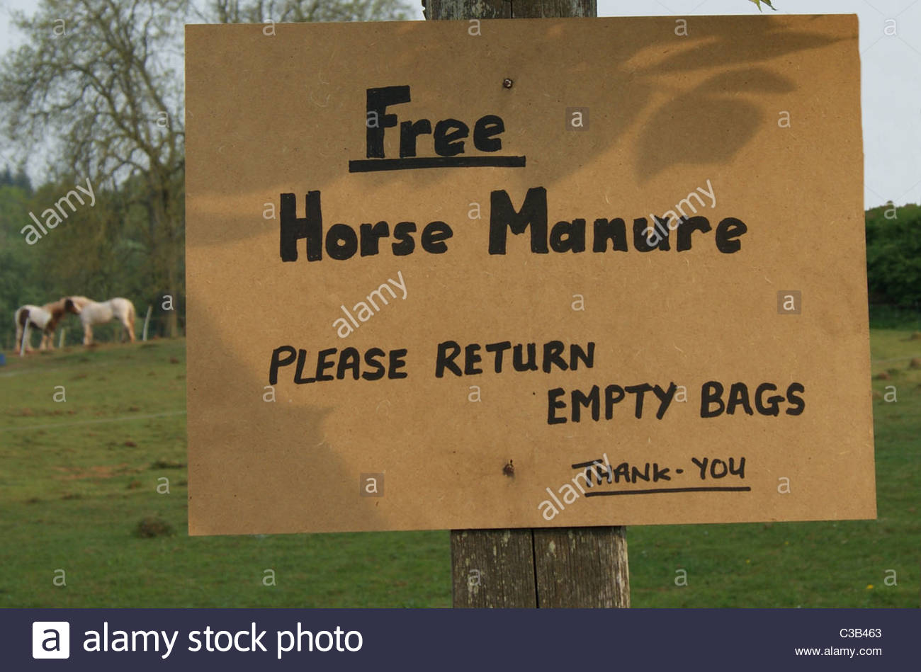 Horse Manure Stock Photos & Horse Manure Stock Images - Alamy