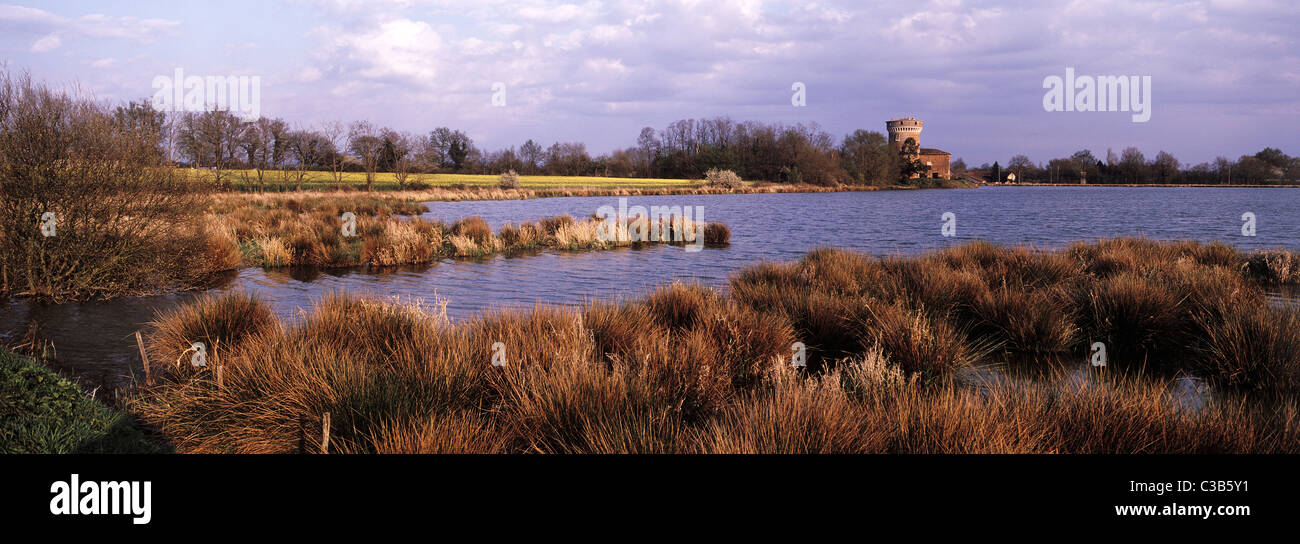 France, Ain, pond and the tower of le Plantay, in La Dombes region ...
