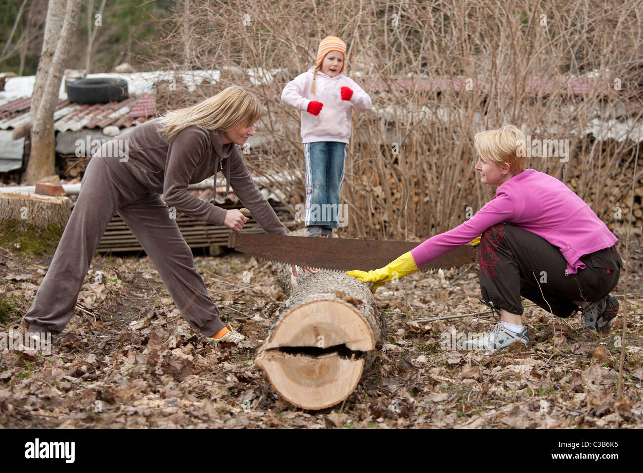 Caucasian women sawing log using hi-res stock photography and images ...