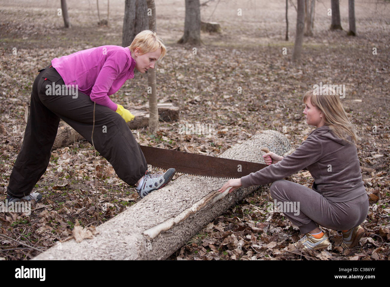 Caucasian Women Sawing Log using Old Two-Handed Saw Stock Photo - Alamy