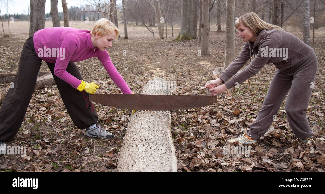 Caucasian Women Sawing Log using Old Two-Handed Saw Stock Photo - Alamy