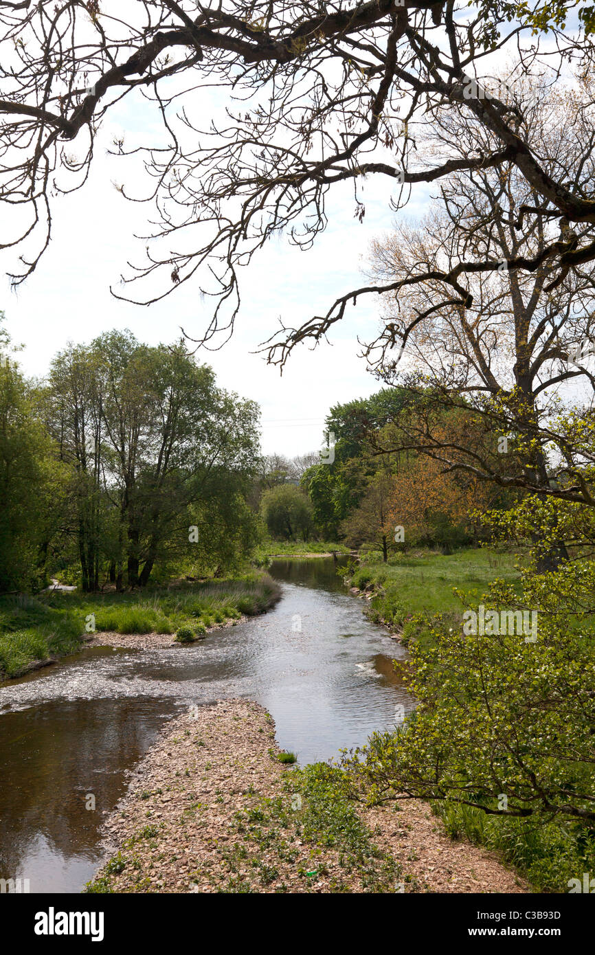 River Otter at Ottery St Mary, Devon Stock Photo - Alamy