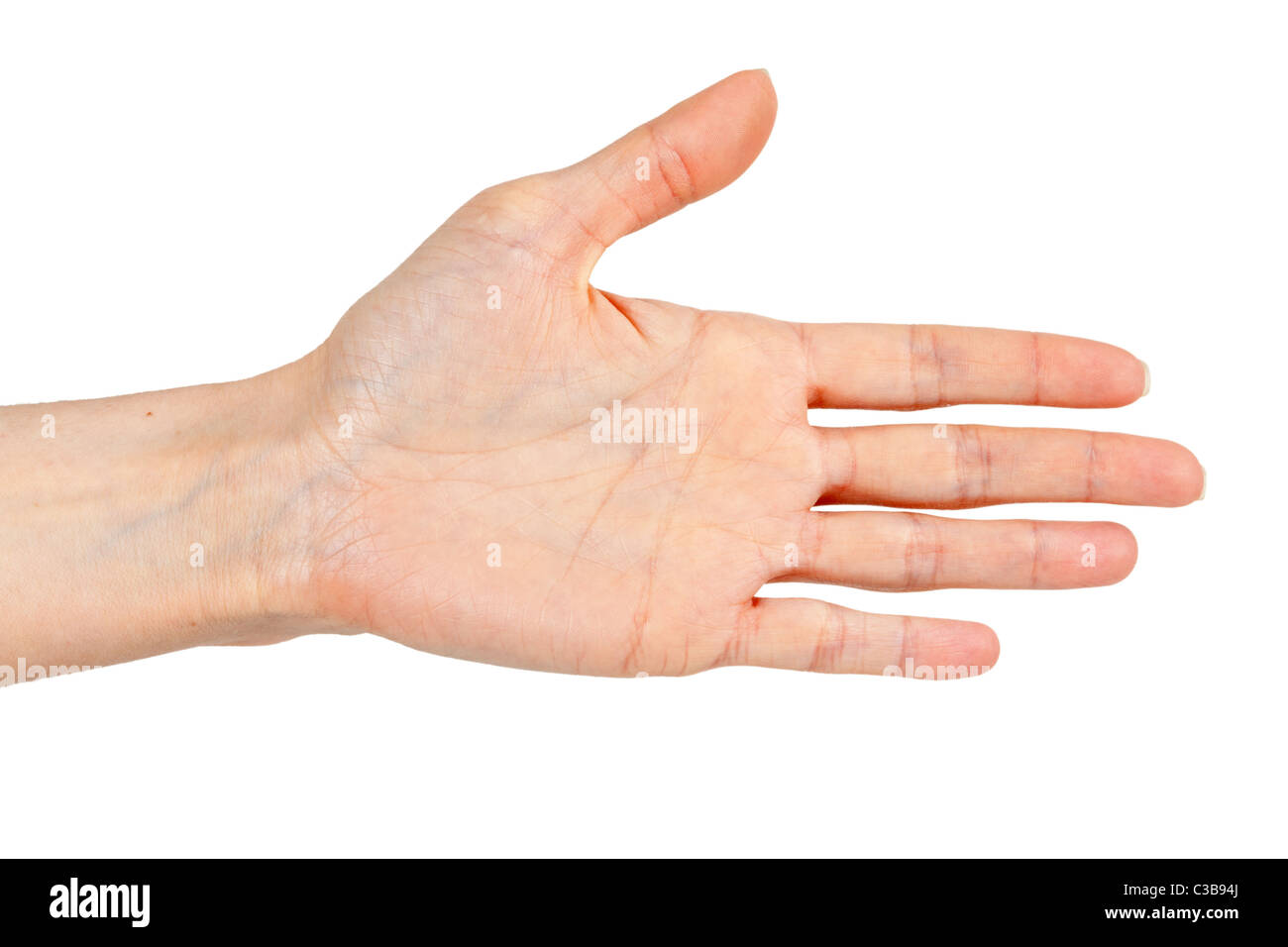 woman's hand, palm outstretched on a white background Stock Photo - Alamy