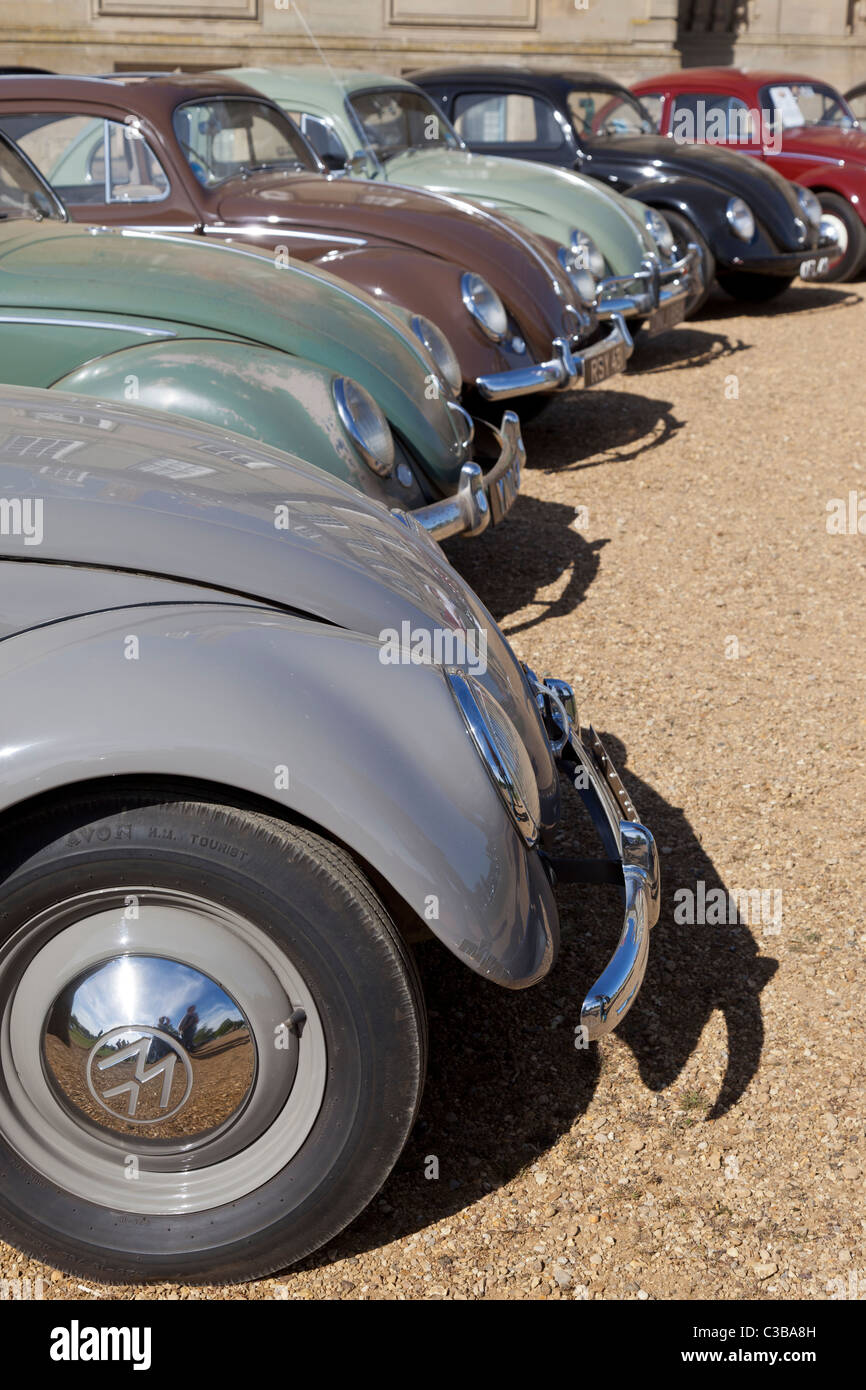 Line-up of vintage Volkswagen Beetles at Stanford Hall, UK Stock Photo ...