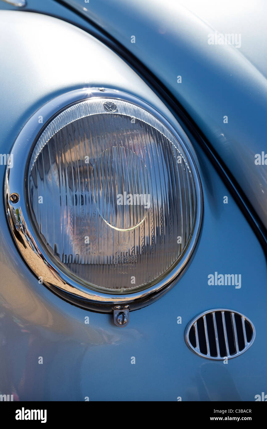 Headlight beetle hi-res stock photography and images - Alamy