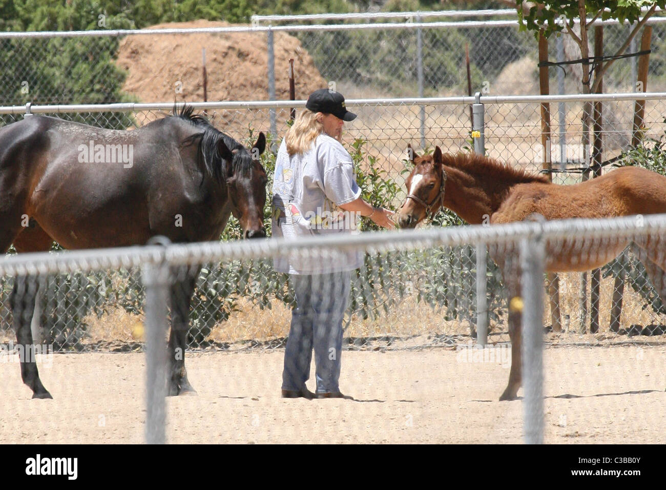 Debbie Rowe spends time with her horses at home on the day of her ex ...