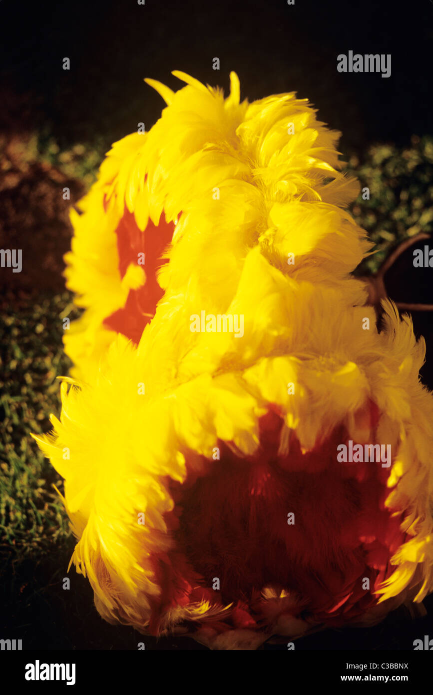 Hawaii, Maui, The Valley Island,, Feast of Lele, Lahaina, Uli Uli, hula ...