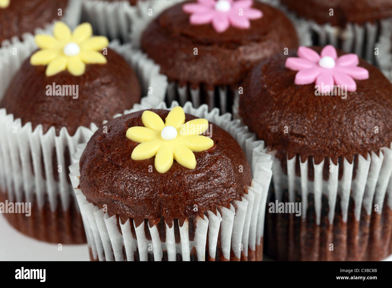 Mini chocolate toped cup cakes with flower decorations Stock Photo - Alamy