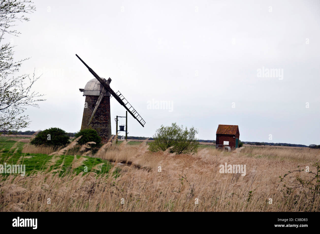 Old wind pump near Martham on the River Thurne, Norfolk Broads, East ...