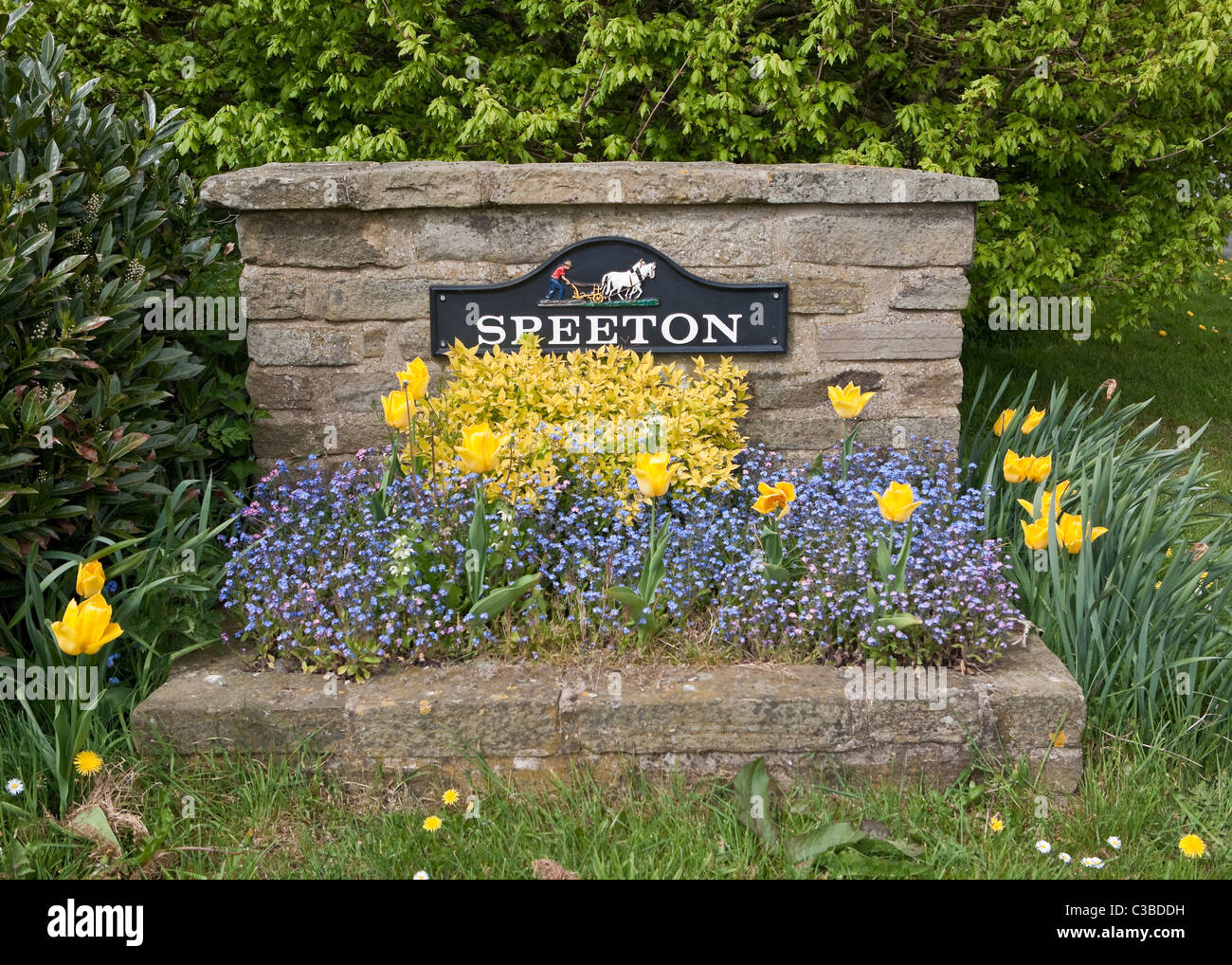 Speeton hi-res stock photography and images - Alamy