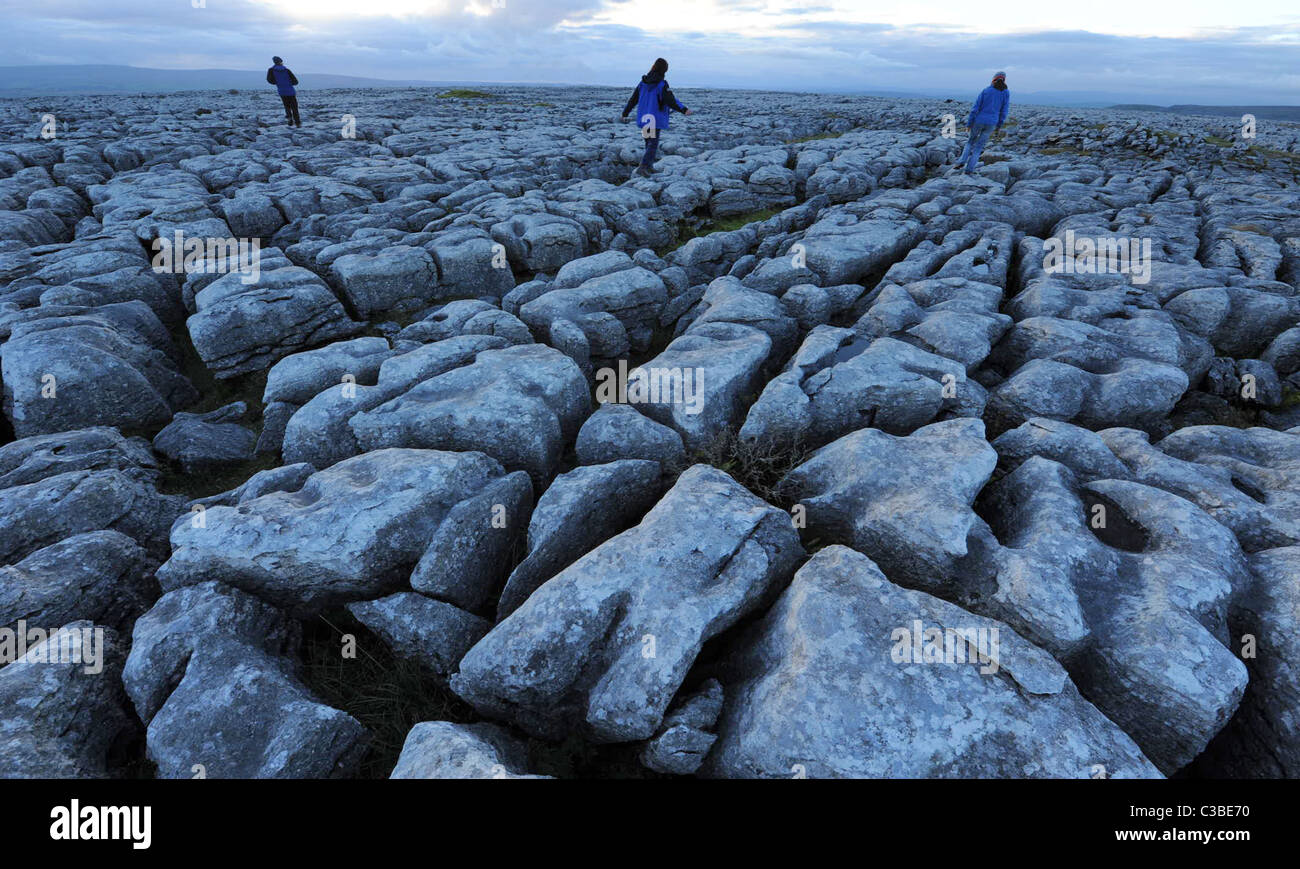 Limestone Pavement on Ingleborough (hill) in the Yorkshire Dales ...