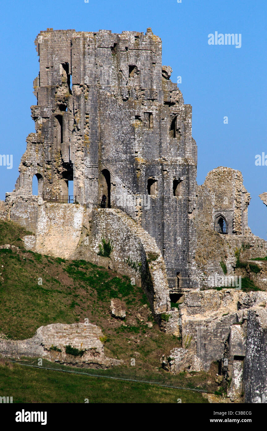 The ruined building of Corfe Castle in the Isle of Purbeck standing in ...