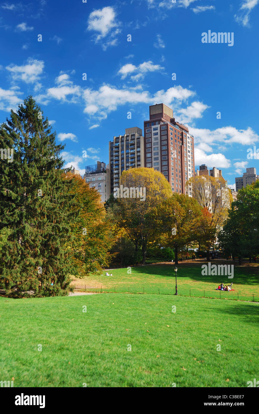 New York City Manhattan skyline panorama viewed from Central Park with ...