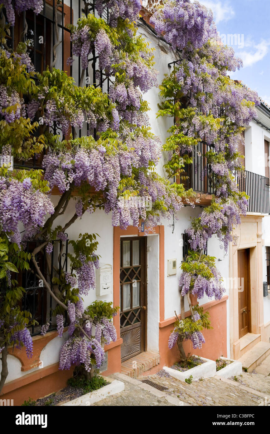 Typical traditional Spanish house with wisteria in back street ...