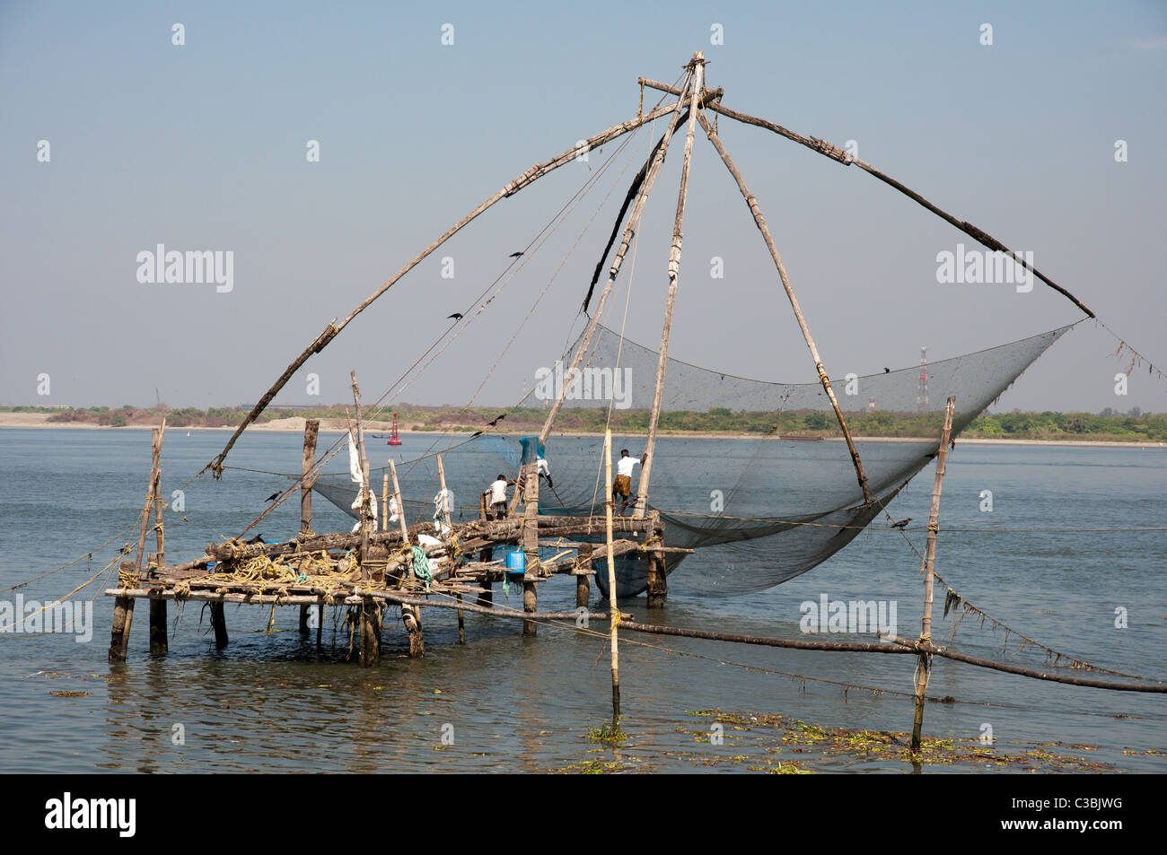 Kerala backwater fish hi-res stock photography and images - Alamy