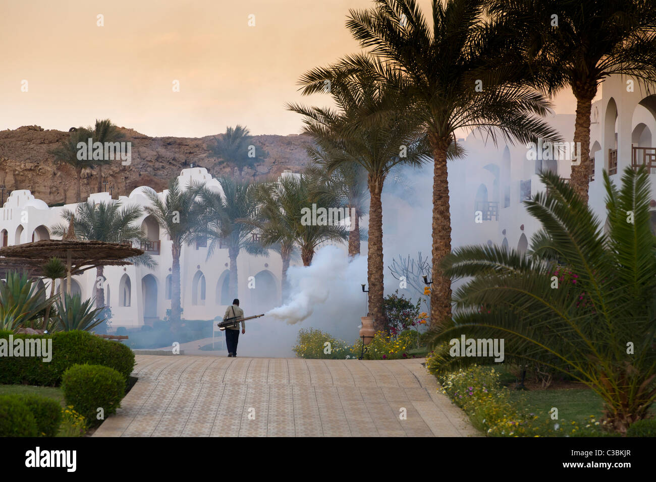 At dusk and dawn every day, a man walks around the holiday complex ...