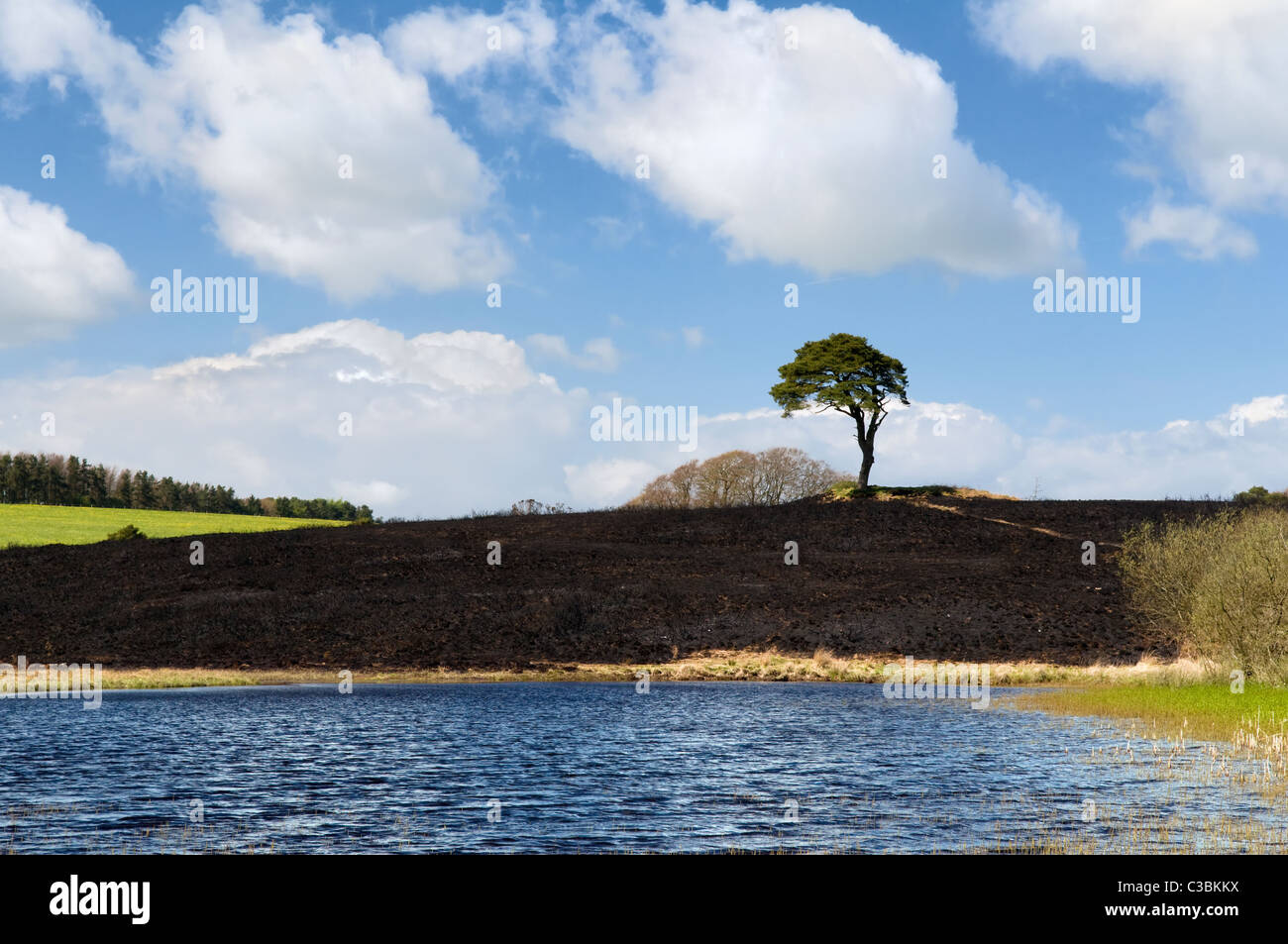 Priddy somerset england hi-res stock photography and images - Alamy