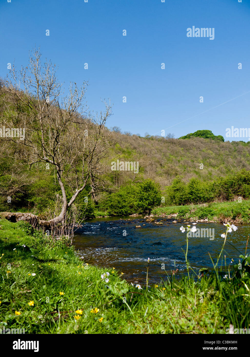 River wye monsal dale hi-res stock photography and images - Alamy