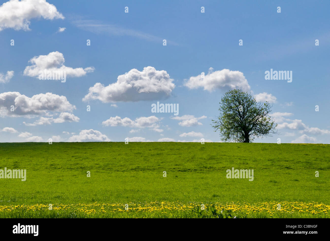 Spring landscapes blue sky hi-res stock photography and images - Alamy