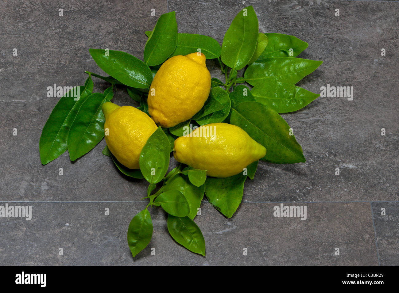 three lemons with green leaves Stock Photo - Alamy