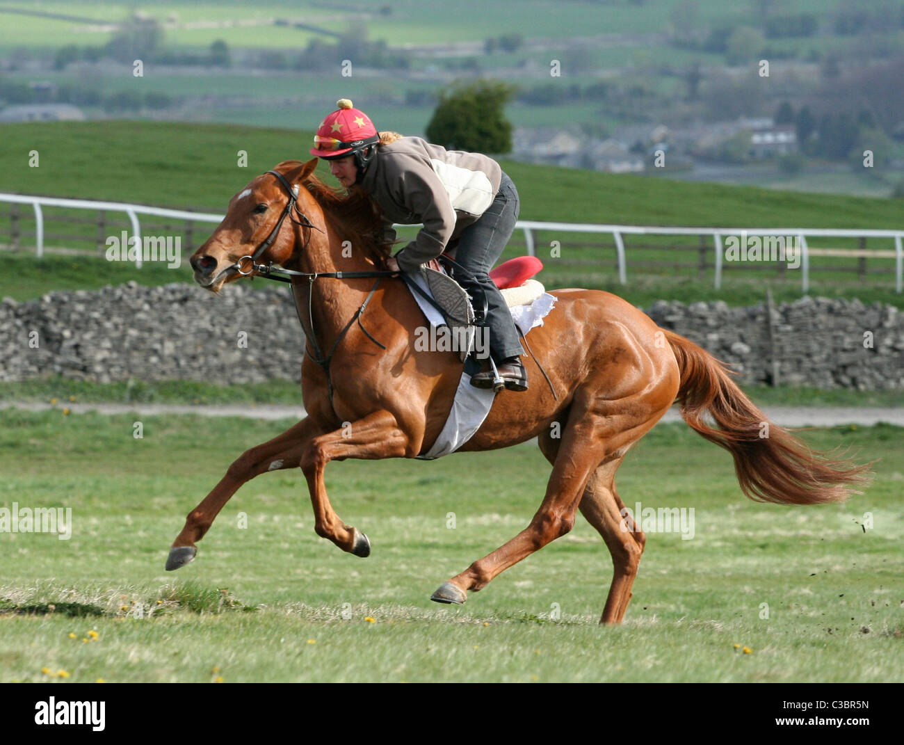 Rocehorse hi-res stock photography and images - Alamy