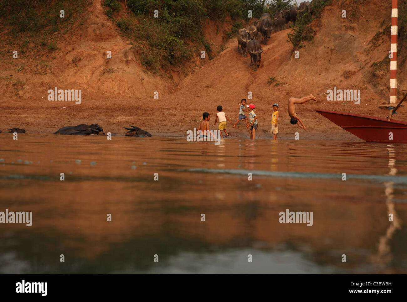 Children animals water buffalo hi-res stock photography and images - Alamy