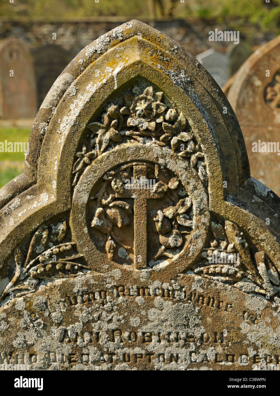 Stylized floral design hi-res stock photography and images - Alamy