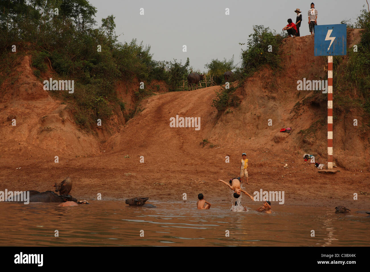 Children With Water Buffalo Stock Photos & Children With Water Buffalo ...
