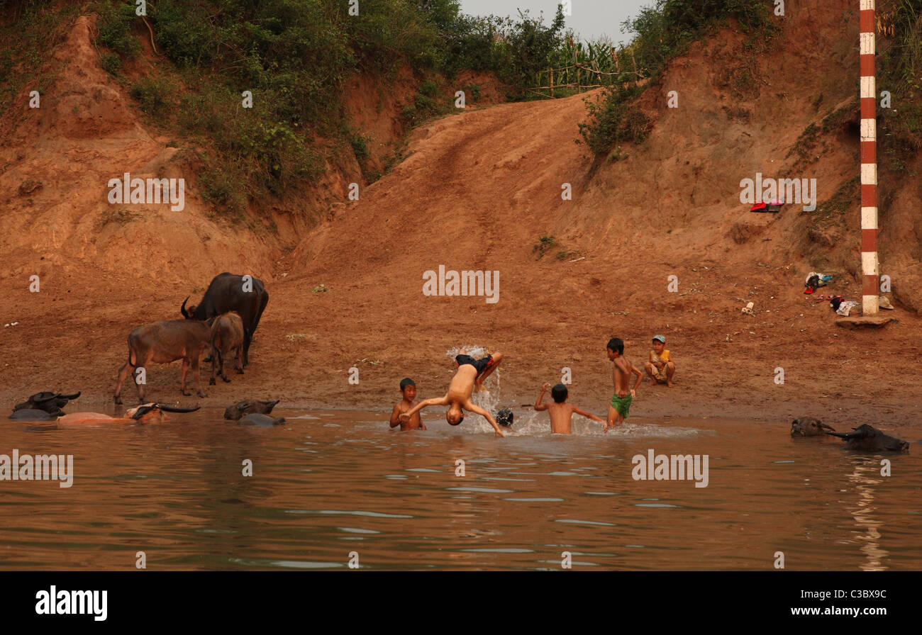 Children With Water Buffalo Stock Photos & Children With Water Buffalo ...