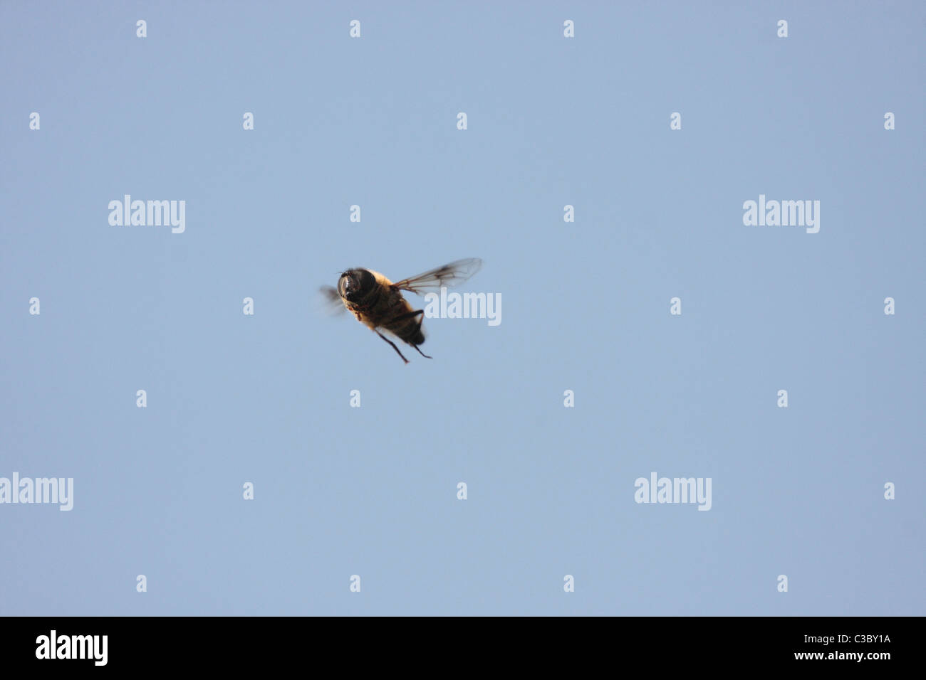 Drone Fly in Flight Stock Photo - Alamy