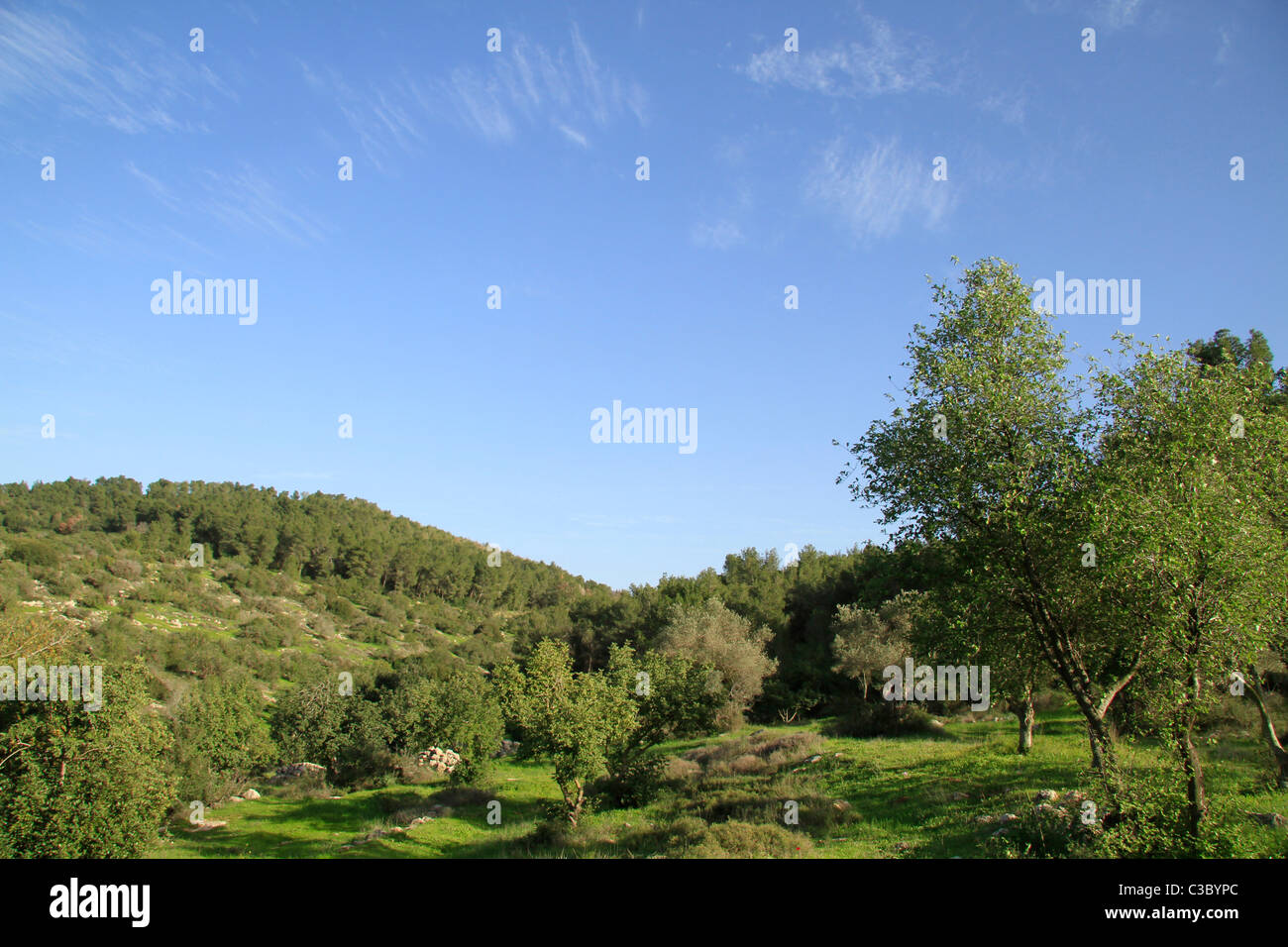Tel azekah hi-res stock photography and images - Alamy