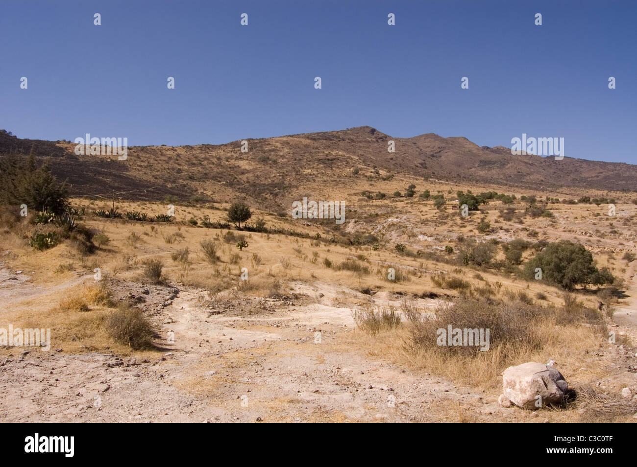 Central Mexico landscape during the dry season Stock Photo - Alamy