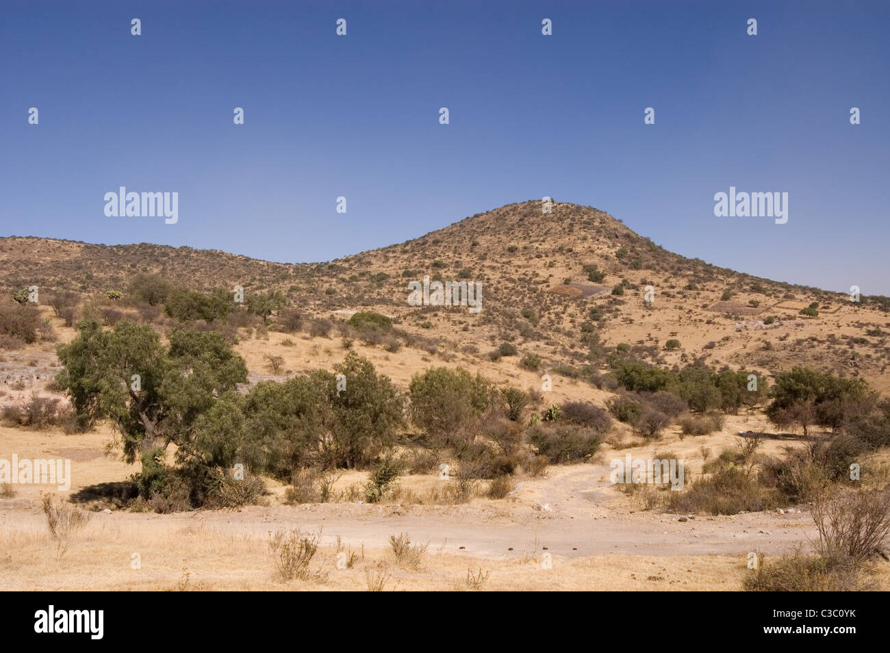 Pirul hi-res stock photography and images - Alamy