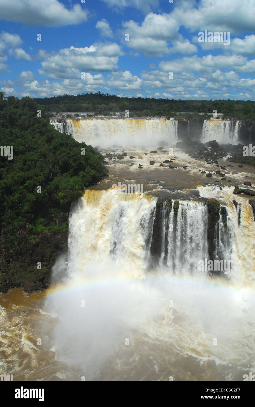 Foz do iguacu national park brazil wildlife hi-res stock photography ...