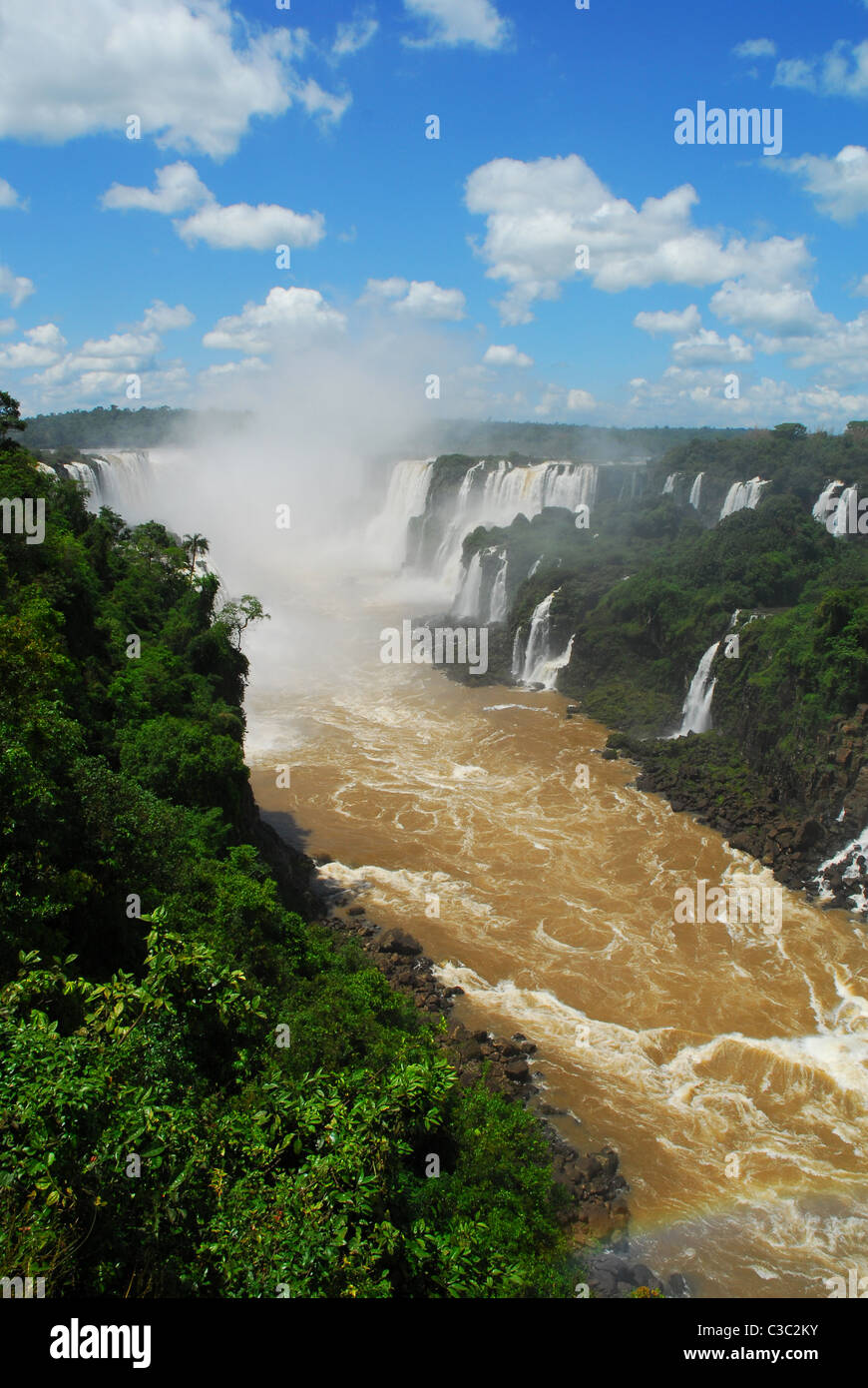 Foz do iguacu national park brazil wildlife hi-res stock photography ...