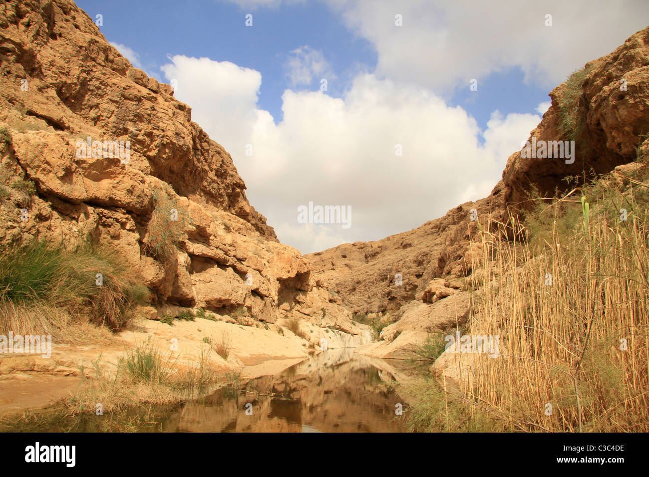 Nahal hi-res stock photography and images - Alamy