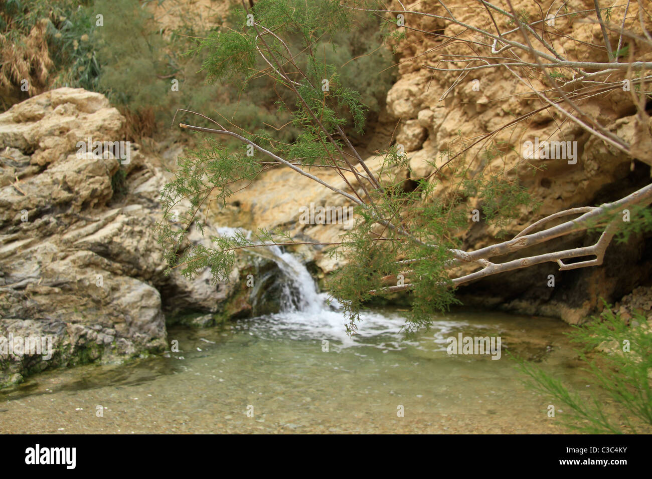 Israel, Ein Bokek by the Dead Sea Stock Photo - Alamy