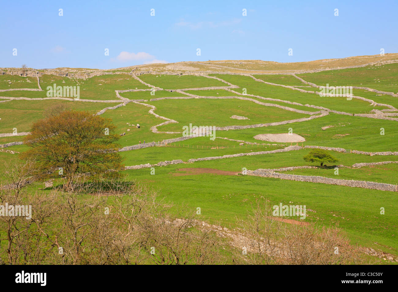 Ancient field system above Malham, North Yorkshire, Yorkshire Dales ...
